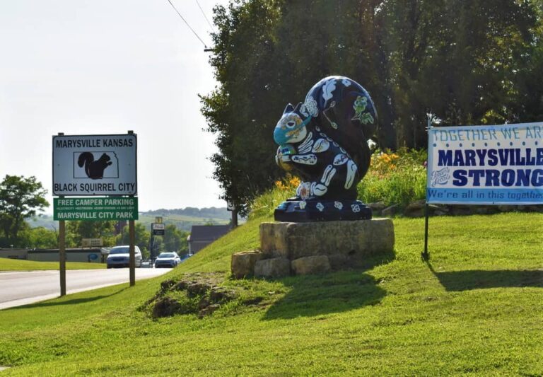 Black Squirrel Sightings In Marysville, Kansas - Our Changing Life